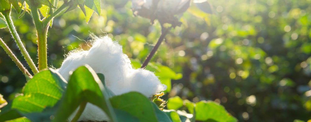 What is Ring-Spun Cotton? – Nudge Printing