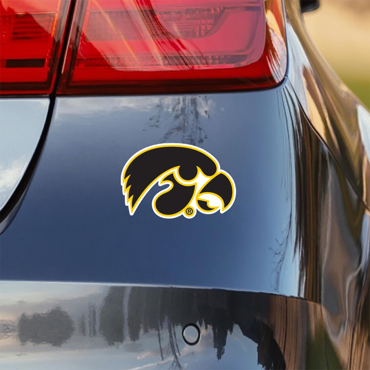 Iowa Hawkeye Tigerhawk Logo Sticker Decal – Nudge Printing
