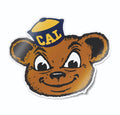 Vintage California Berkeley Bear Car Decal – Nudge Printing